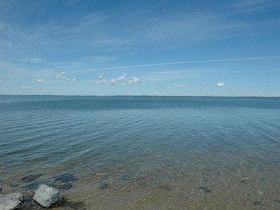 Buffalo Lake, AB - June 14, 2017 | Ritchie Bros. Auctioneers